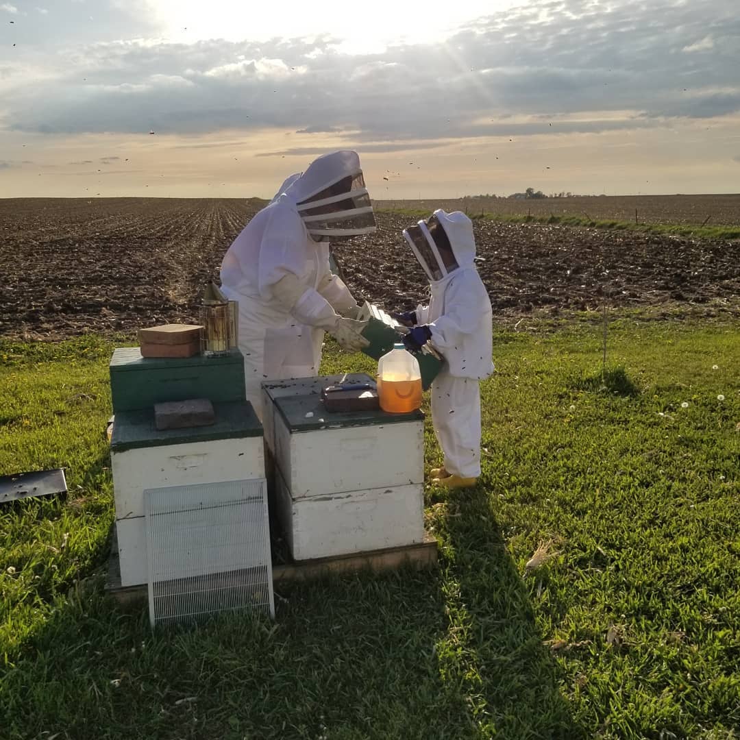 How to Start Beekeeping - Iowa Family Gardening Homestead